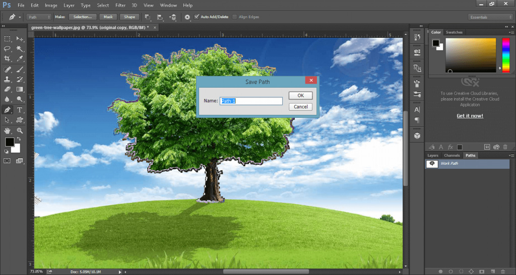 4 Important Tips to Remove Background from Complex Images